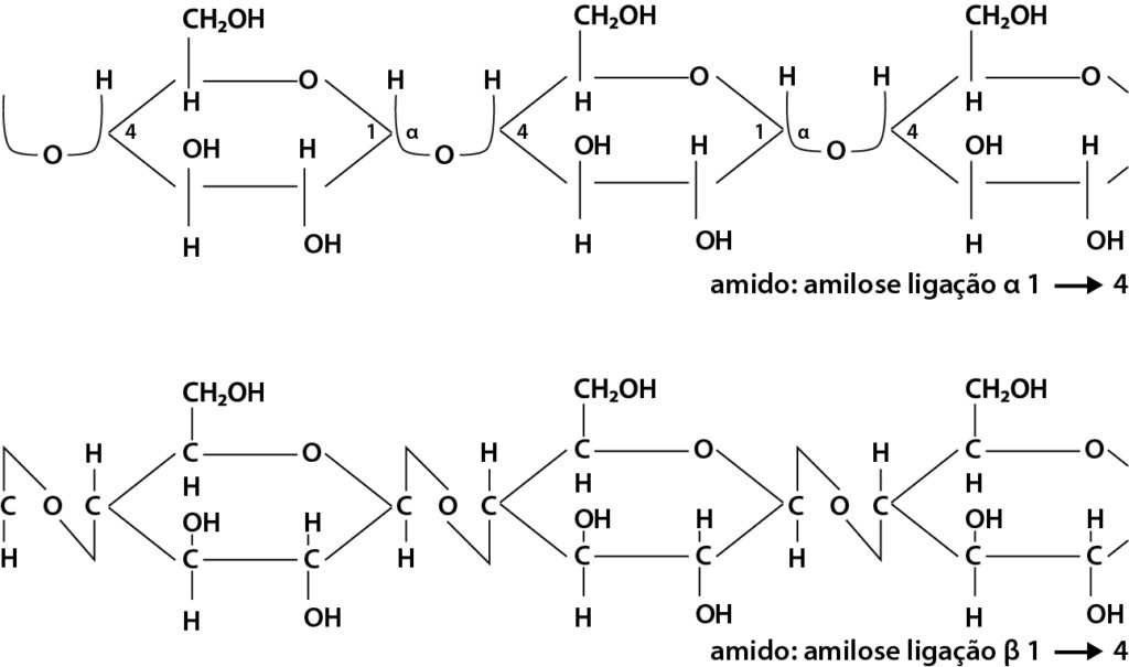 amilose – Acervo de imagens CIAR